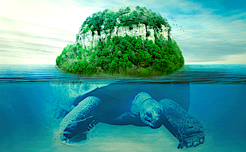 The Earth On Turtles Back Explains Origin Of - The Earth Images ...